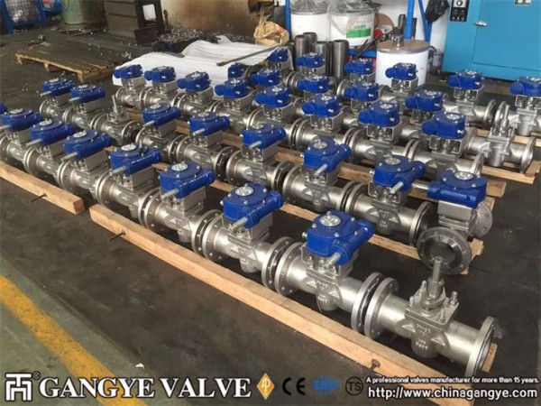 DIN standard plug valves, 904L material - Gangye valve