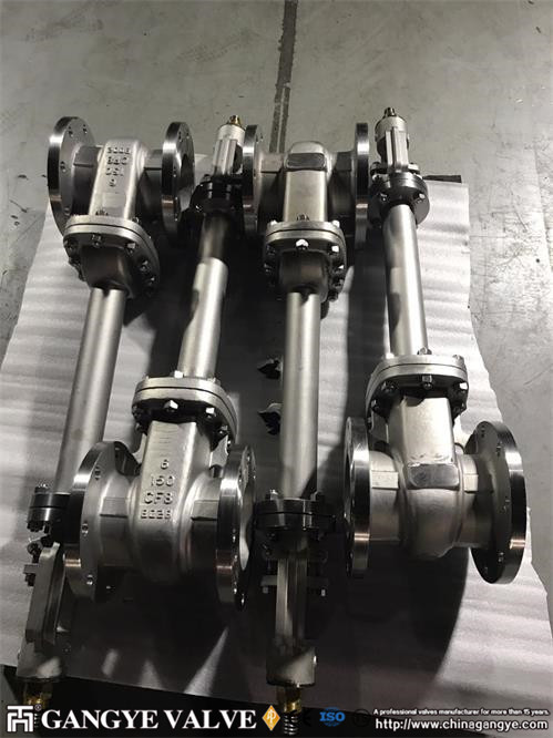 Bellows Sealed Gate Valve - Gangye valve