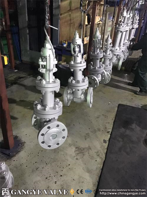 Bellows Sealed Gate Valve - Gangye valve