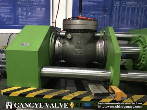 High pressure external pin check valve - Gangye valve